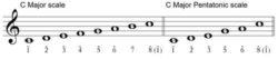 Pentascale or Pentatonic Scale? - Ultimate Music Theory