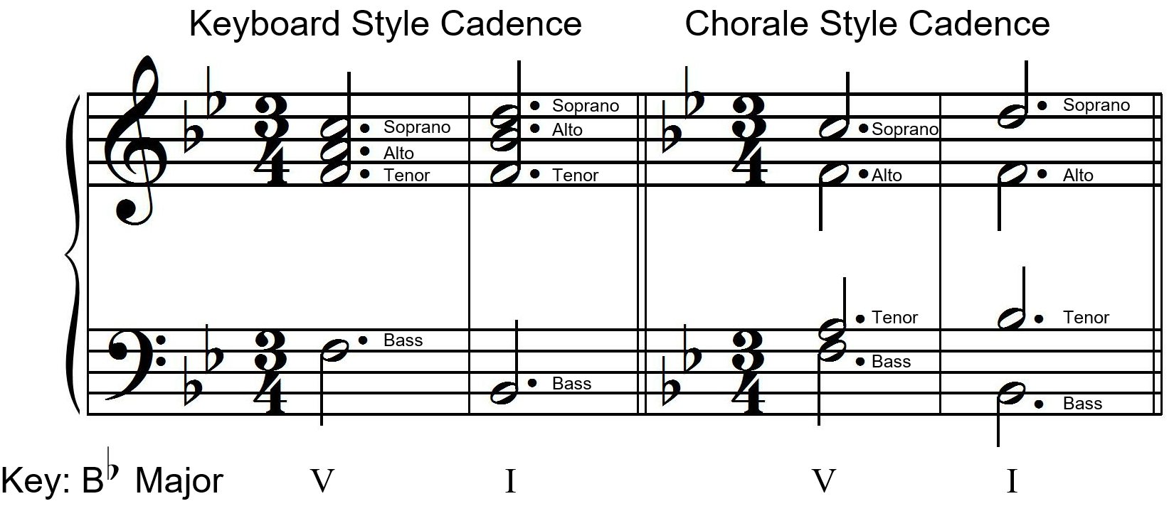 Cadence Bass Notes - Ultimate Music Theory