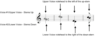 6 Tips for Two Part Writing - Ultimate Music Theory